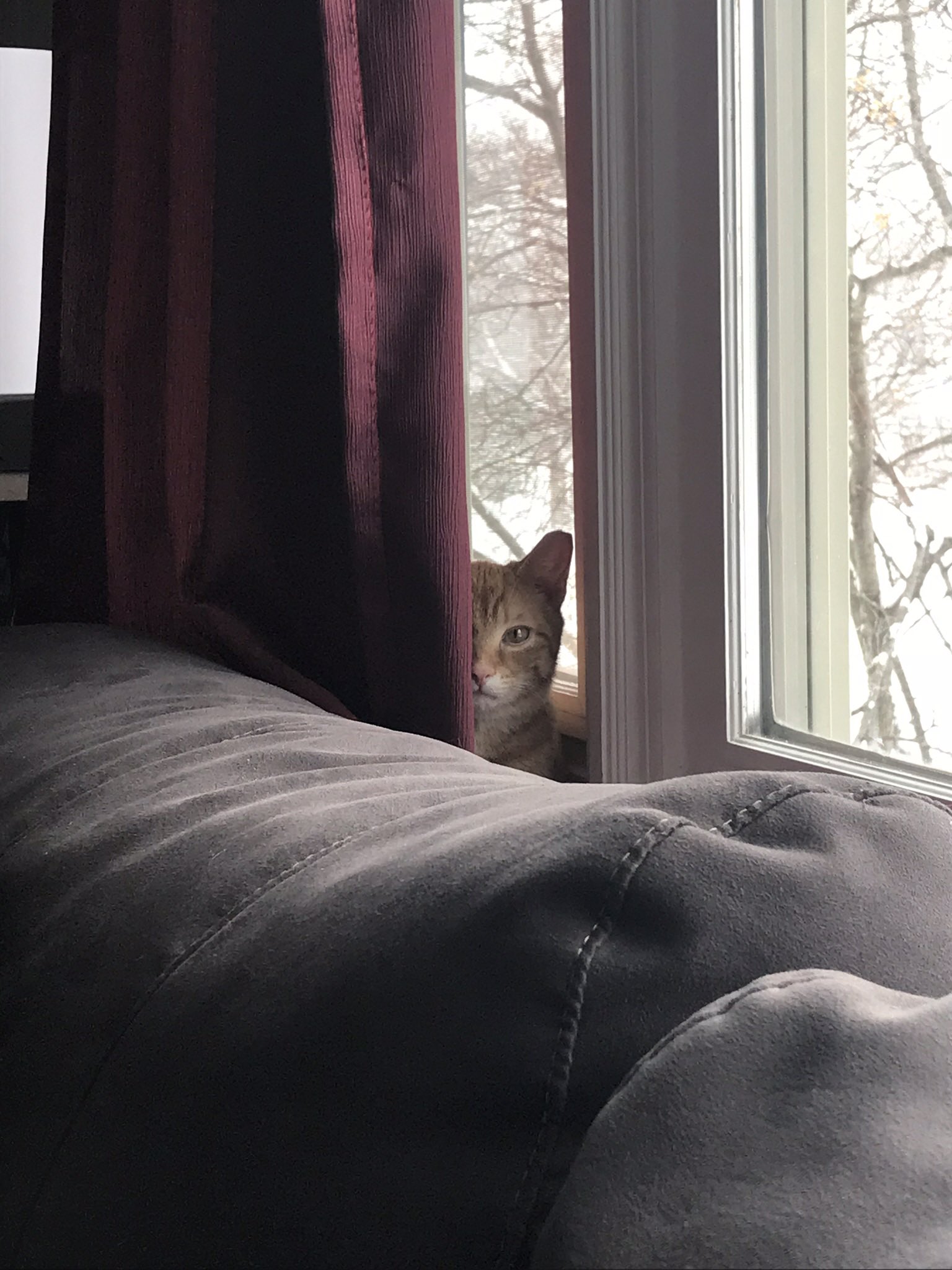 Sweet Dee on Twitter: "@weirdlilguys https://t.co/1lSyVFZdC7" / Twitter