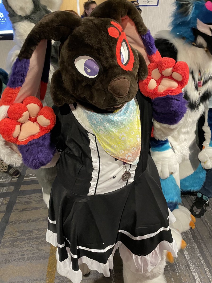 Mr_Bubblez ふわふわバニー on Twitter: "Am bunny"