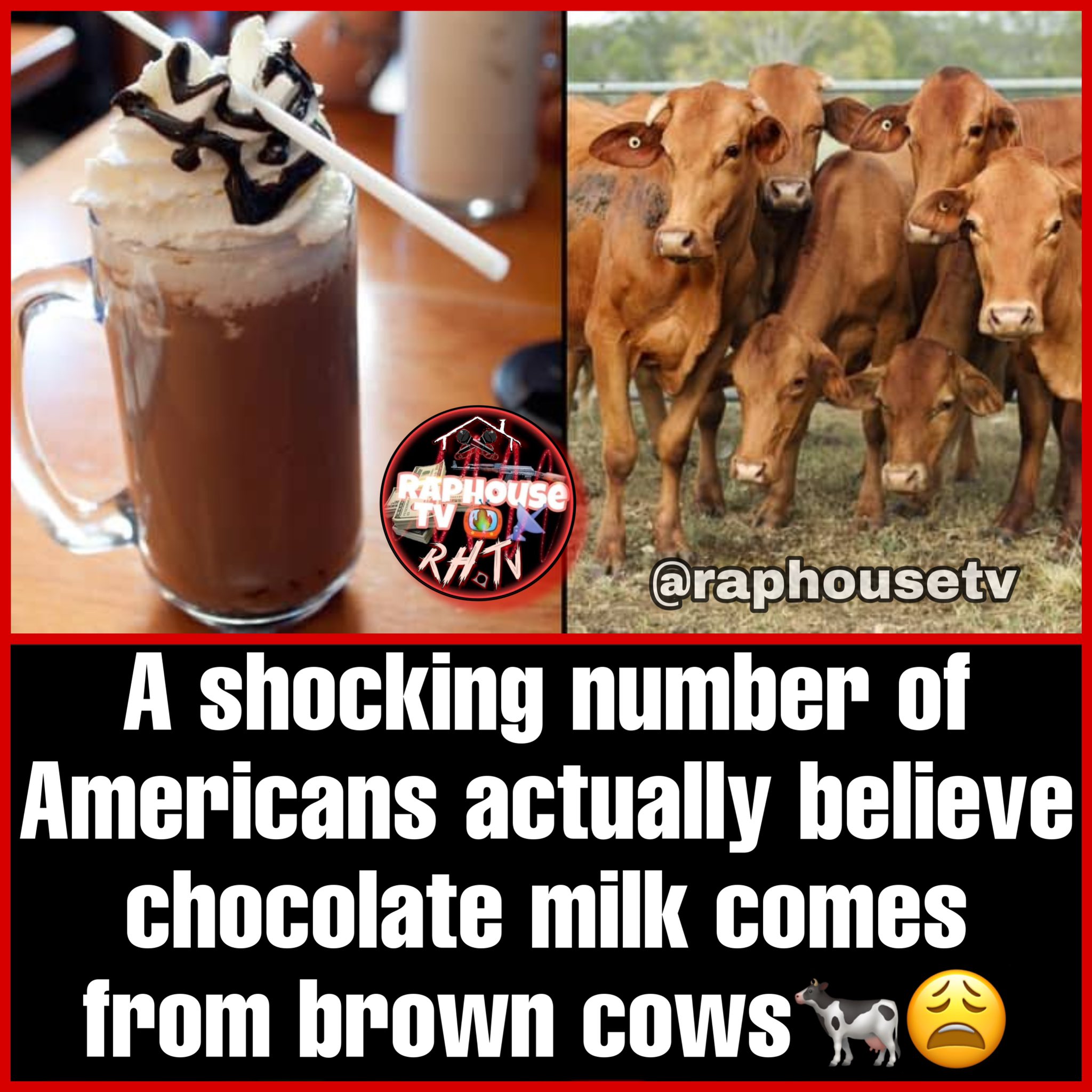 Raphousetv (RHTV) on Twitter: "A shocking number of Americans actually believe chocolate milk ...