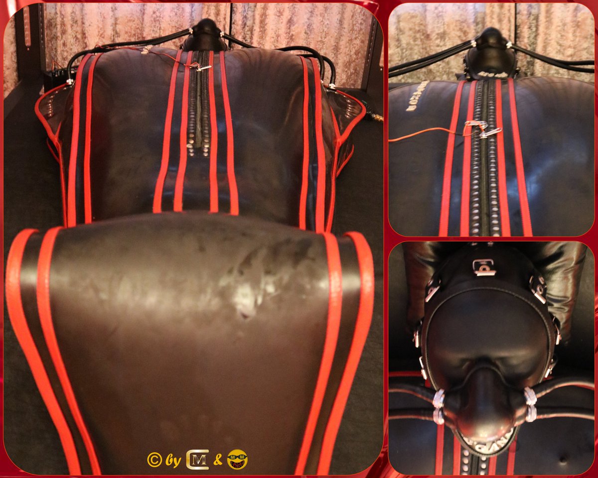 ELEGANCE -BDSM Mietstudio & SM APARTMENTS on Twitter: "RT @MichaelZimt: ANOTHER VISIT TO THE ...