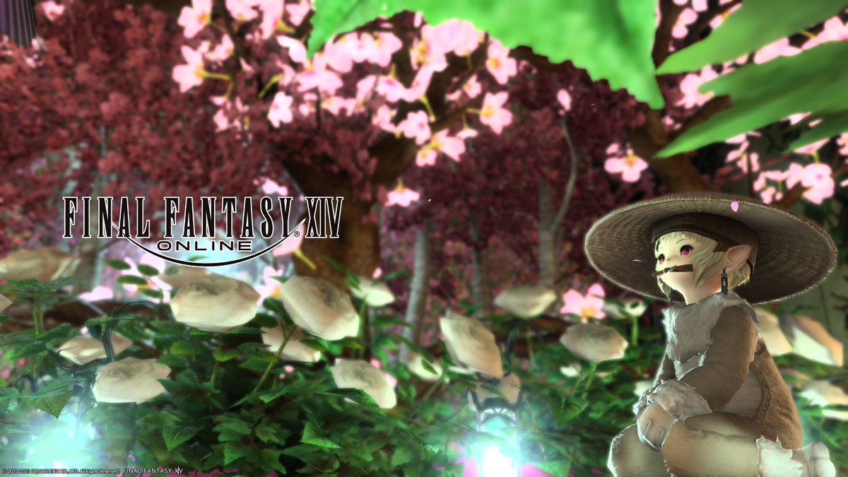 zuizui on Twitter: "じゅうよん。 FCメンバーさんのFF11時代のフレさんの撮影スタジオにお邪魔してきました。すすすすすすごすぎてめちゃ撮った…。にっきの写真枚数がすごい ...