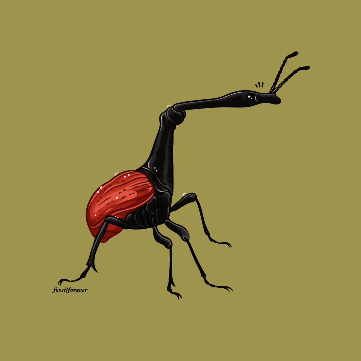 「oh hey it's weevil time 」|Nicole 🌱のイラスト