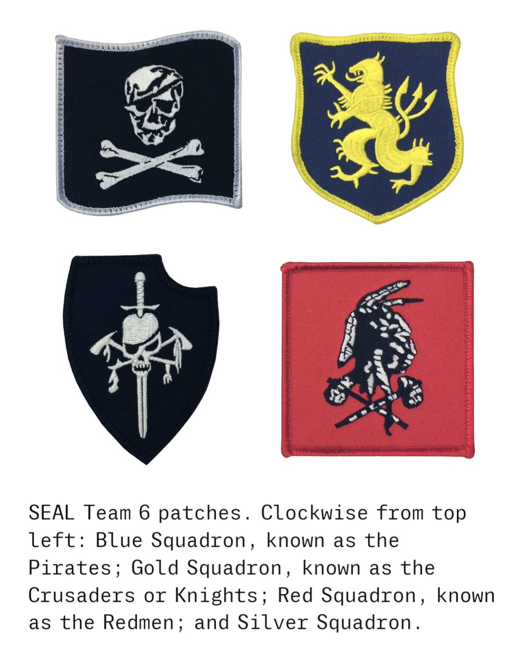 Devgru Gold Team Patch