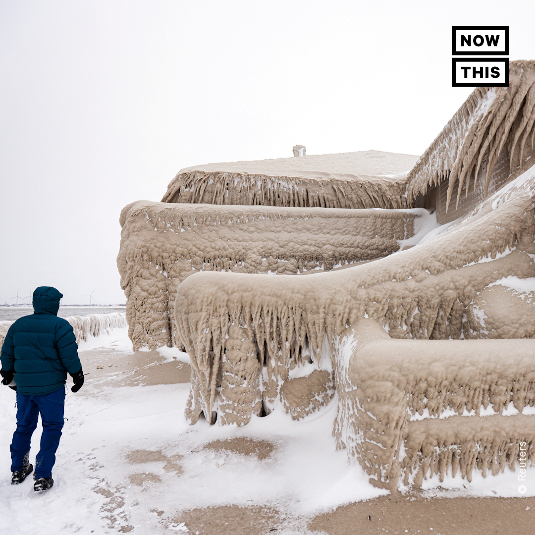 NowThis on Twitter: NowThis on Twitter: