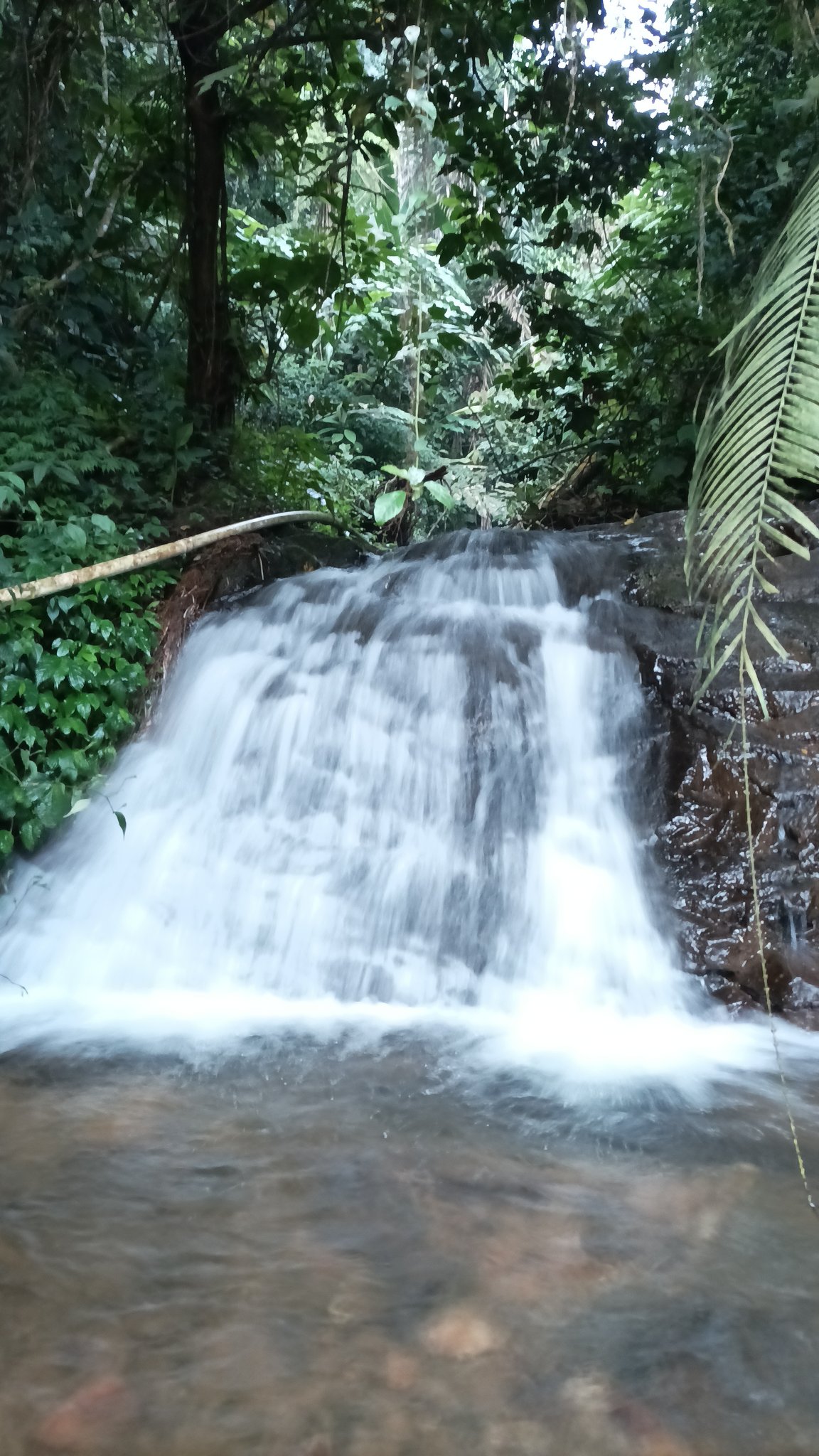 Plu To (@PluTo97100580) / Twitter