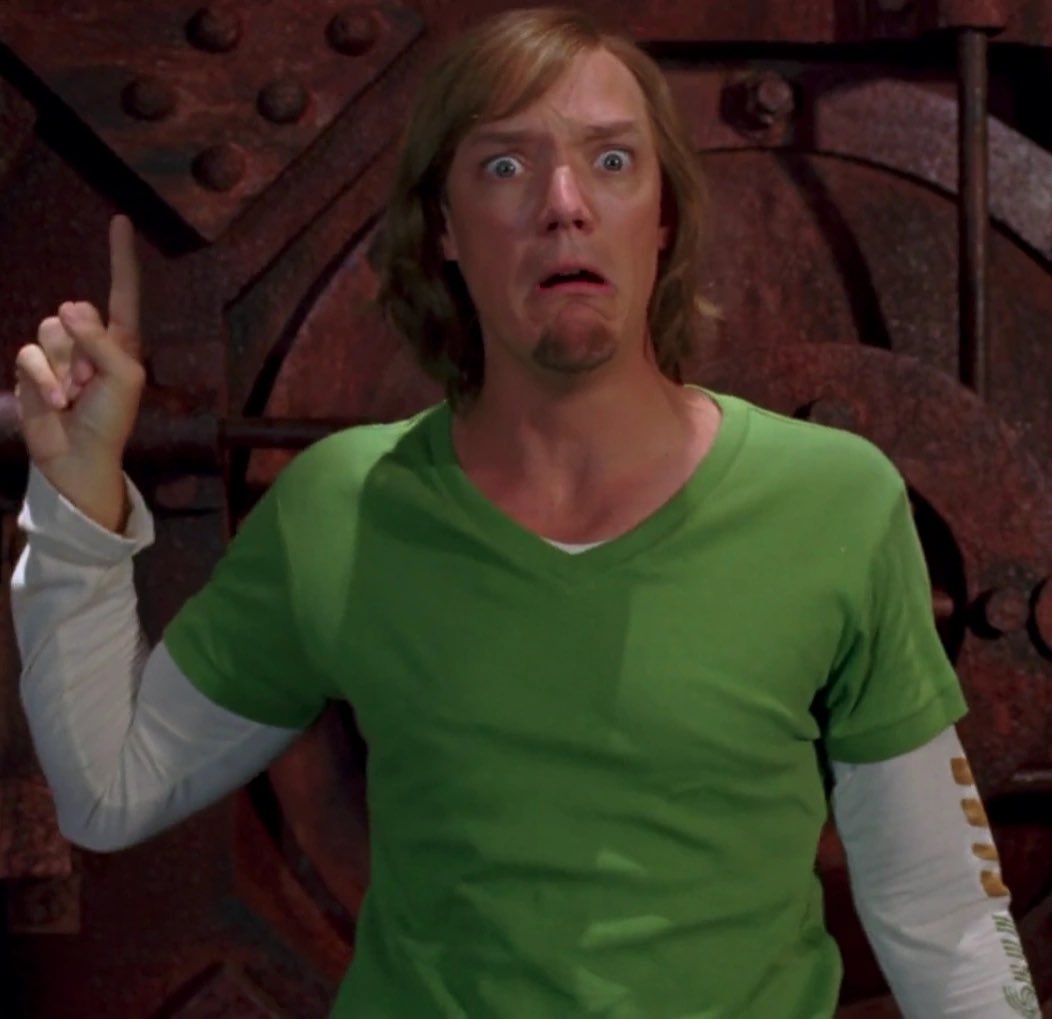 Shaggy Scooby Doo Movie