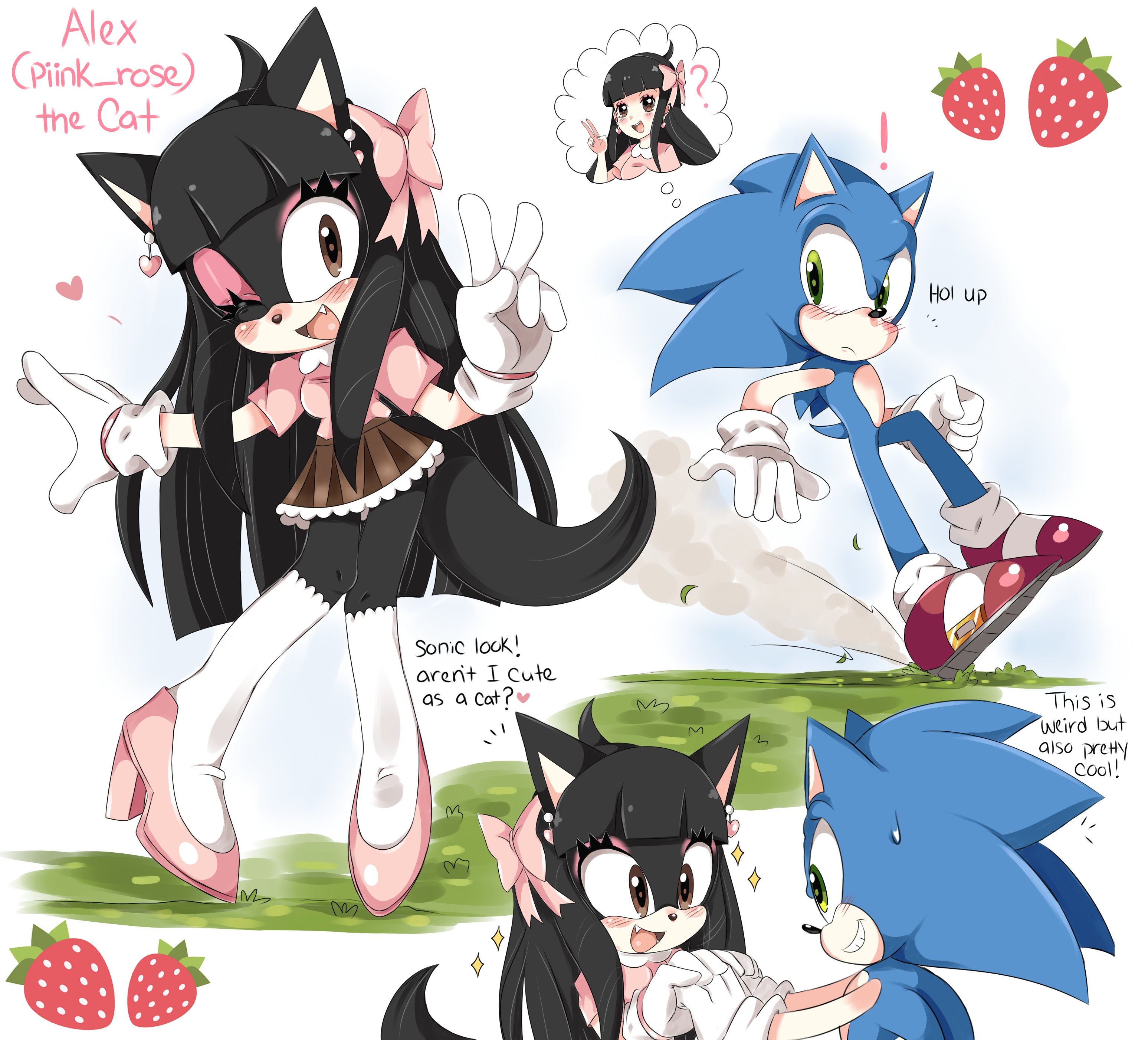 Sonic Characters As Cats