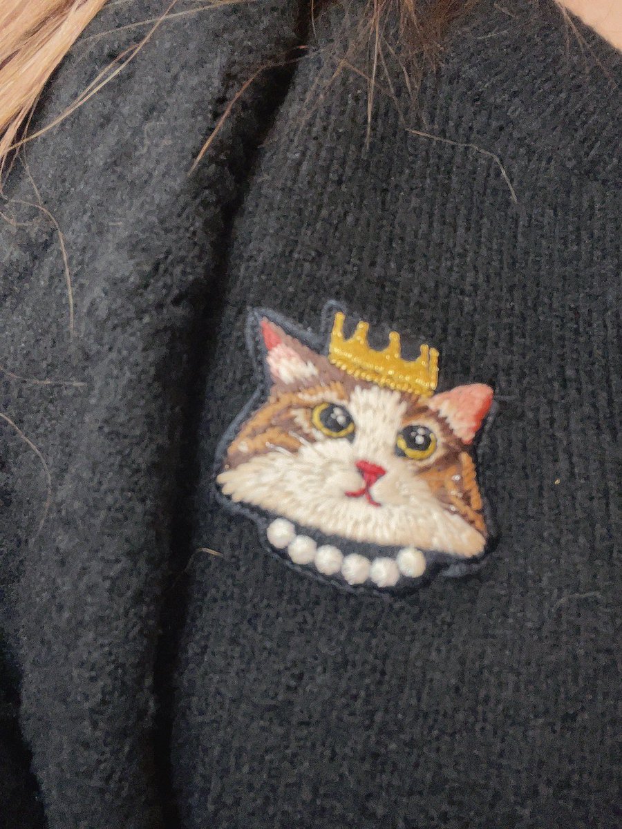 20周年の中川翔子🐈‍⬛🍉🍫 on Twitter: "mmts ボリューム袖カーディガン https://beams.co.jp/item/mmts/tops/16150005438/…"