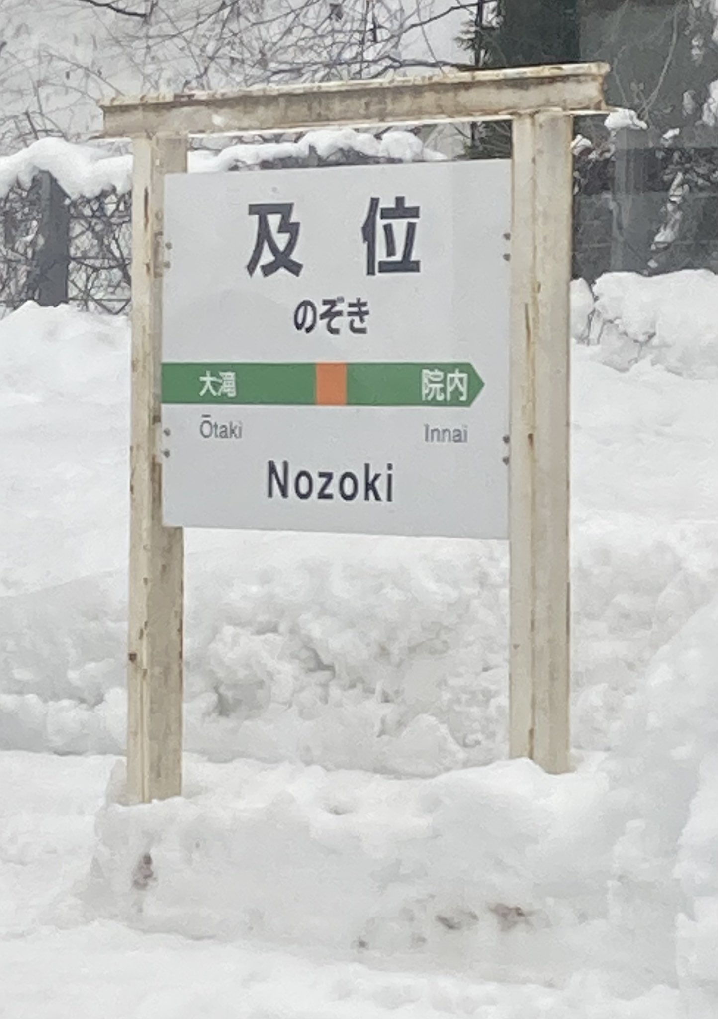 高橋千歳 (@iruka_suda) / Twitter