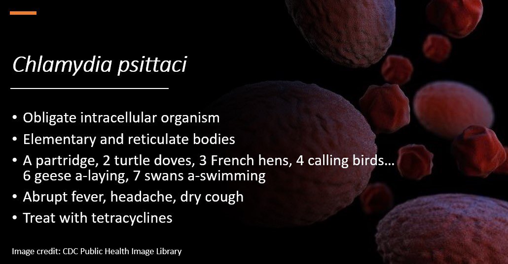 Christmas Weekend Digest Name the Pathogen Five Clues 1. Obligate ...