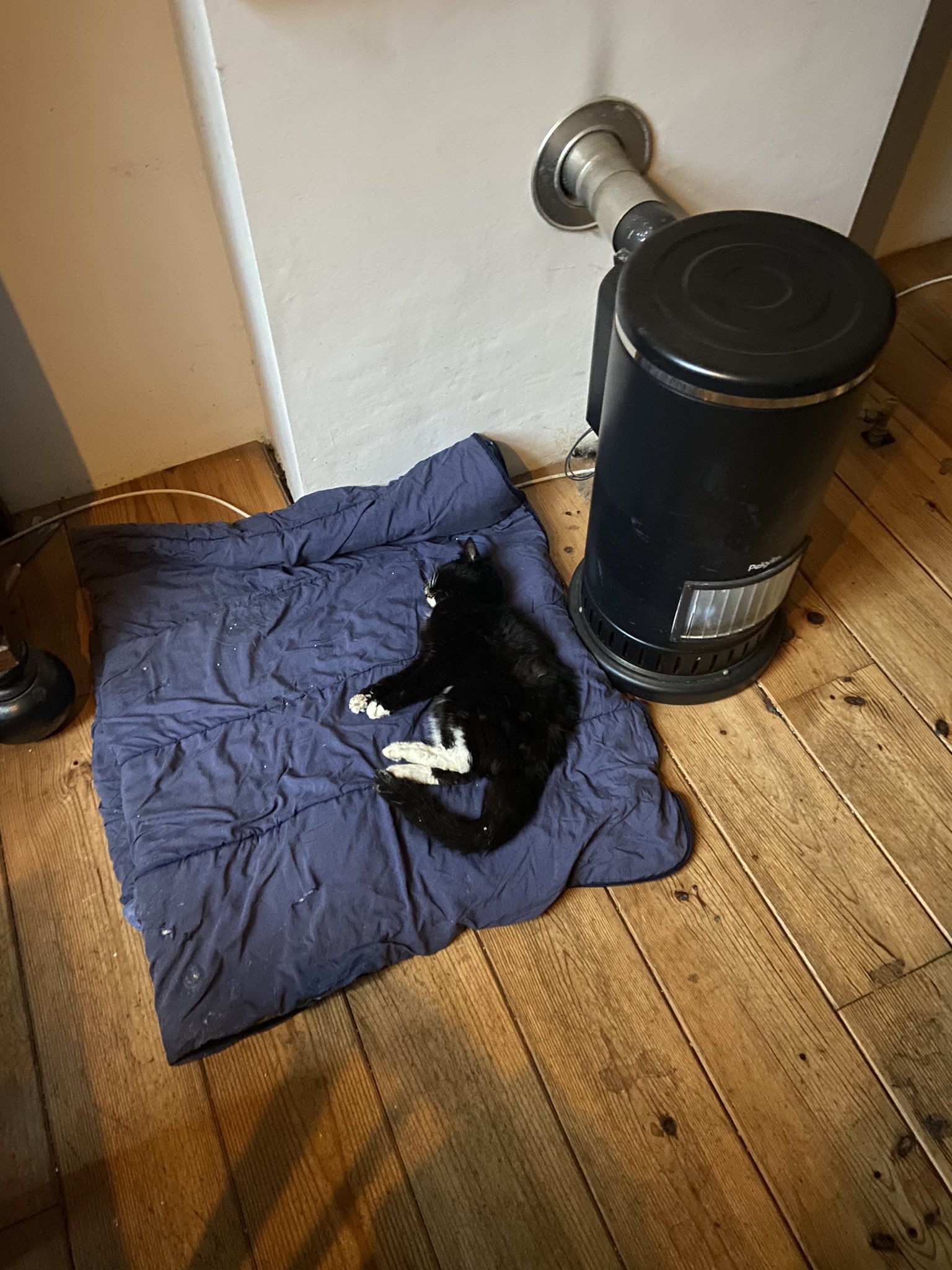 radboud spruit on Twitter: "Piet is dood. Vannacht is hij heel rustig ingeslapen. Zijn eerste ...