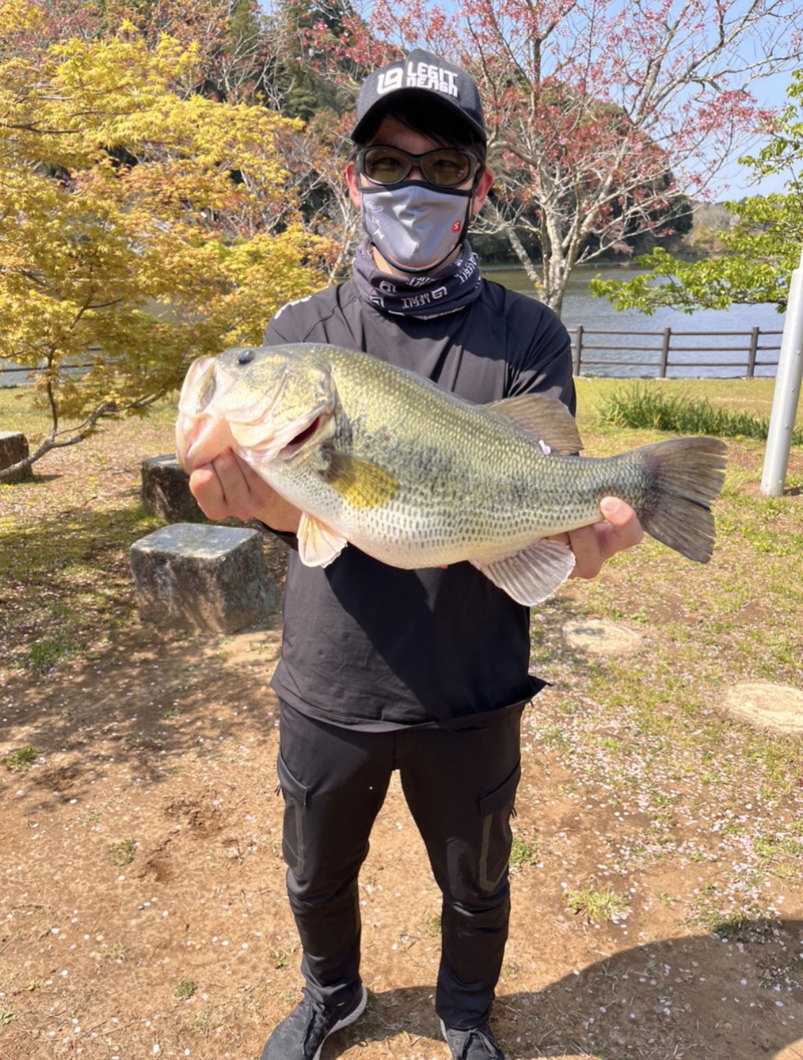 ZPI JAPAN (@zpi_staff) / Twitter