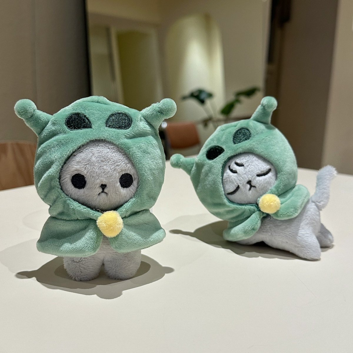 왕쮠 On Twitter  ̄ ̄ ̄ ̄ ̄ ̄ ̄ ̄ ̄ ̄ 외계인침공시 ╭ ⁀ ⁀ ╮ 귀여운쮠이가 Zzz