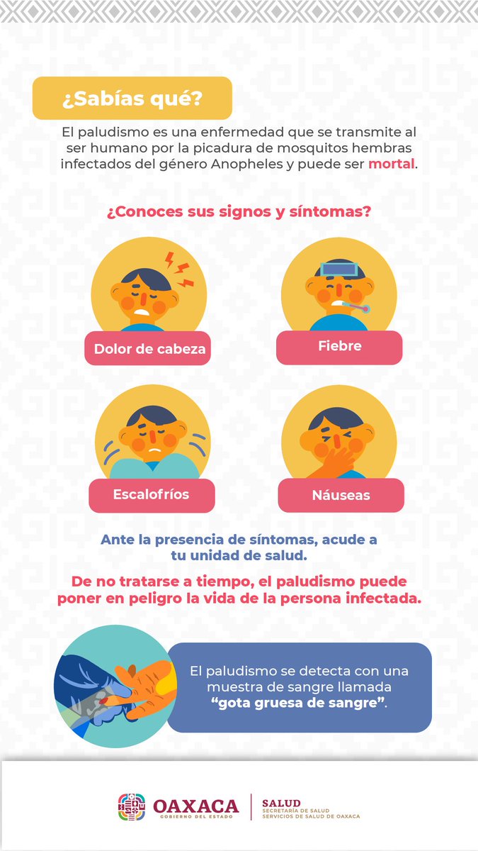 Servicios De Salud On Twitter Prevenir Es La Clave Súmate A La Lucha