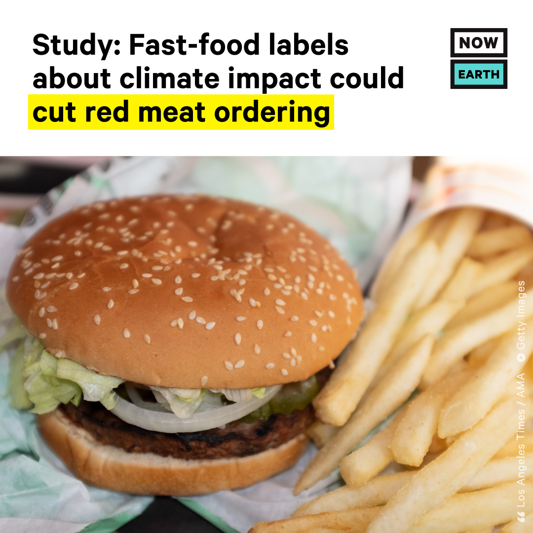 Thread by @nowthisnews on Thread Reader App – Thread Reader App