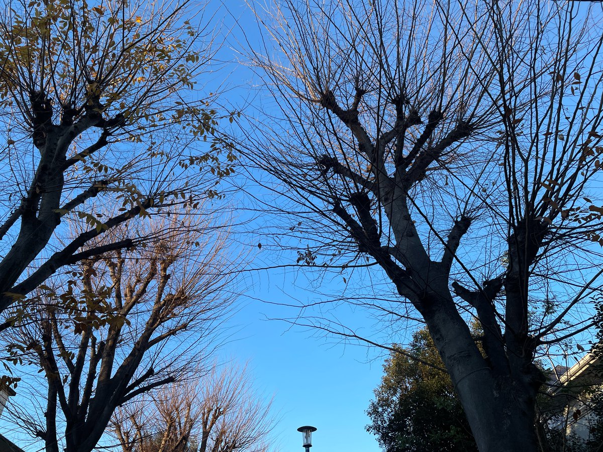 武内享 On Twitter みんなおはよう!今日もブイブイで!外に出ると息が白いし素足スリッパもキツい・・・これぞ冬(笑)東京は快晴。体温364。今日はラジオ収録。これで仕事納め。