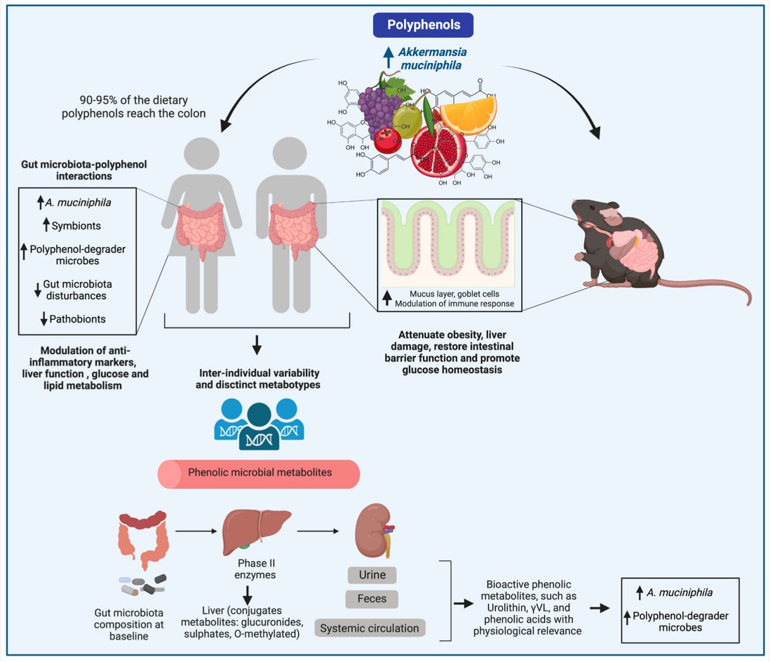 GutMicrobiota Health on Twitter: GutMicrobiota Health on Twitter: