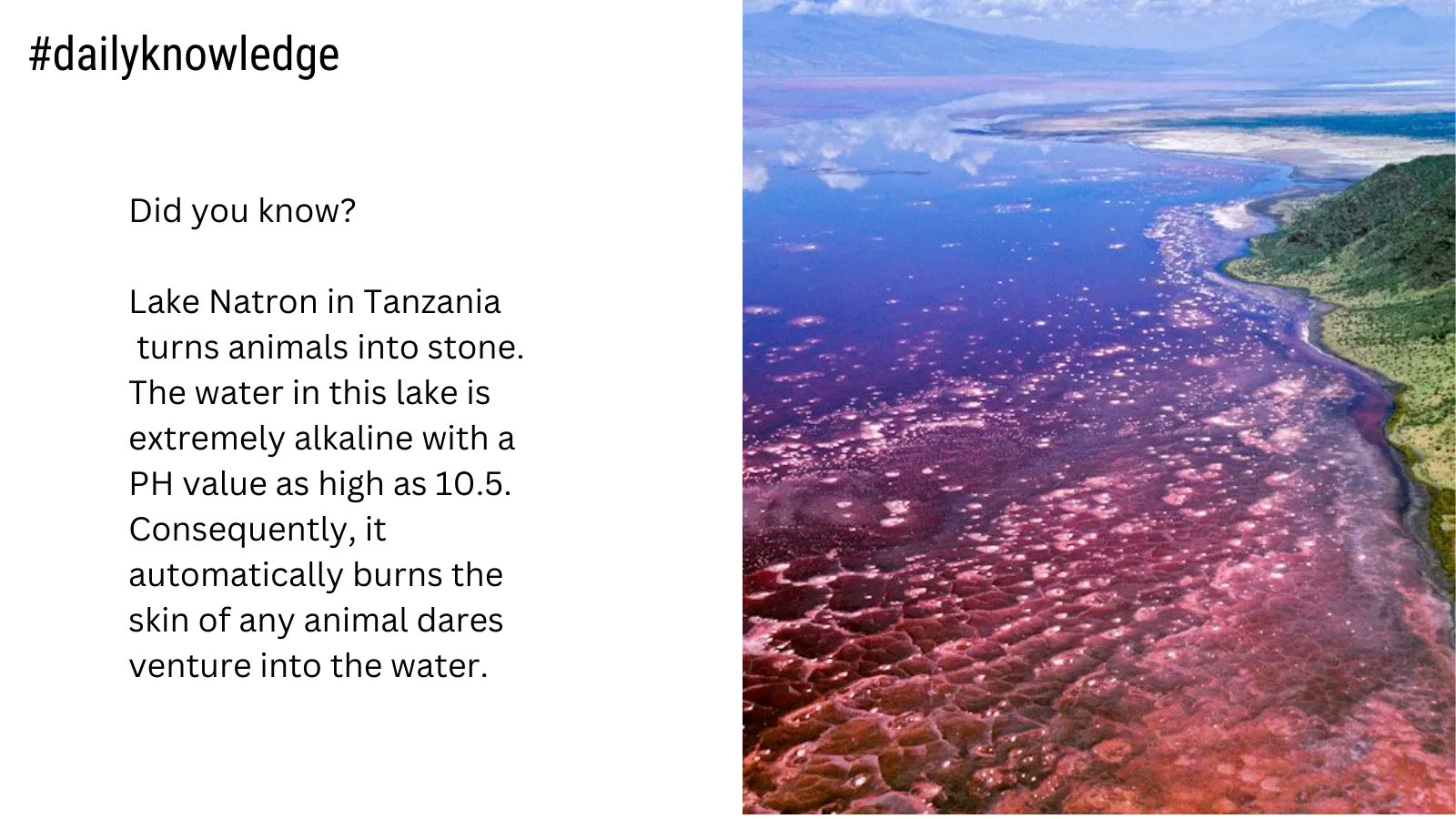 Lake Natron Alkaline Water