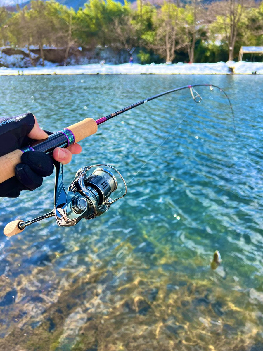 モカ魔神 on Twitter: "グレイウルフ63ML-TRZ入魂 ️‍🔥 クセのないマイルドなロッドって印象で、飛距離も十分出て、掛かってからはし魚の動きをしっかり追従してくれてバラシも ...