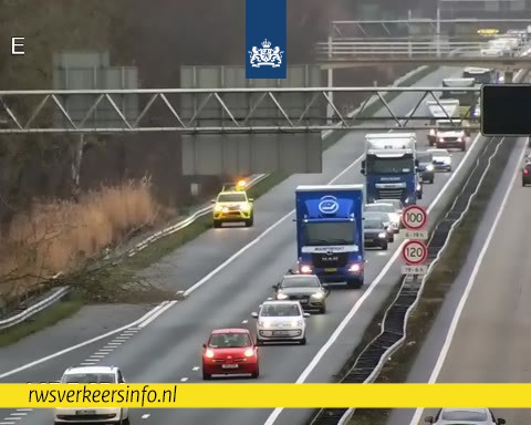 Rijkswaterstaat Verkeersinformatie on Twitter: "Deze boom op de #A67 richting Eindhoven ter ...