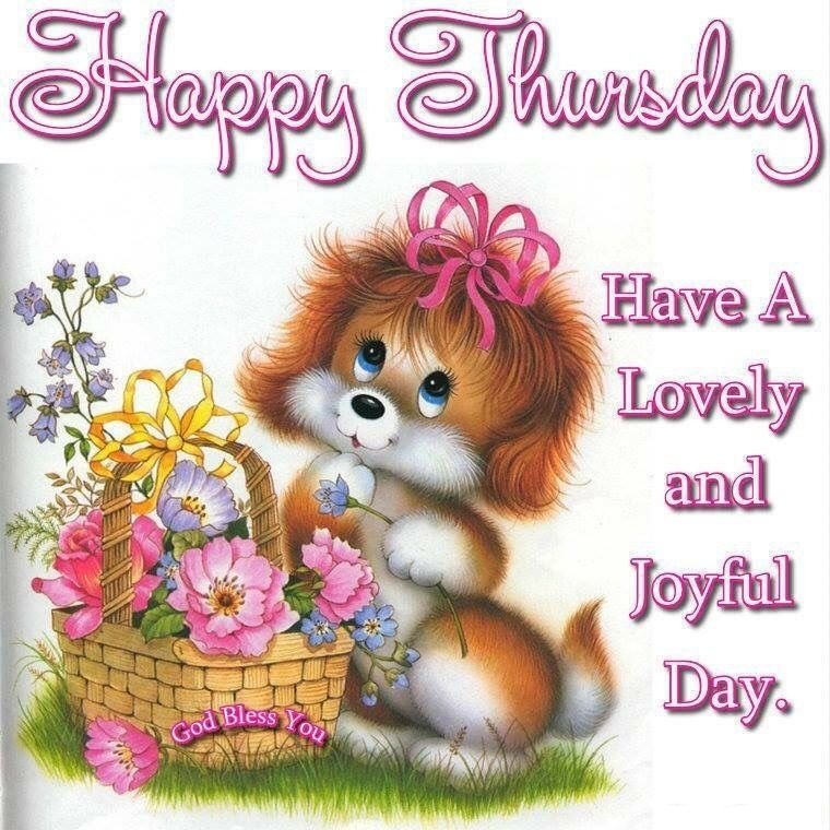 Happy Thursday Cute