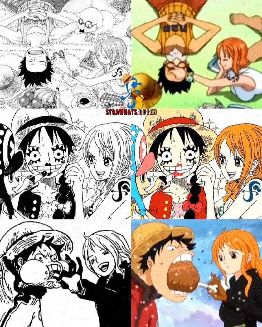 One Piece Pirate King And Queen