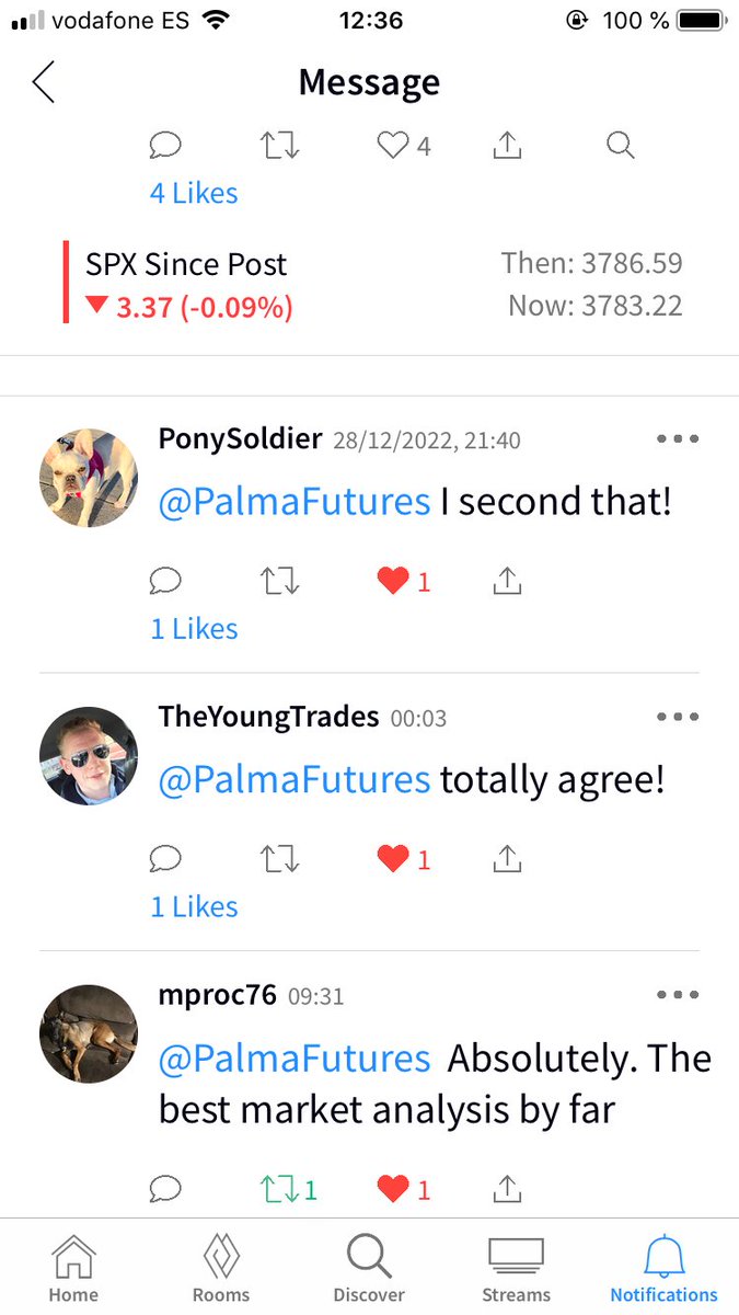 Renzo Bazargani on Twitter: "I’m humbled by these comments & makes me happy that people are ...