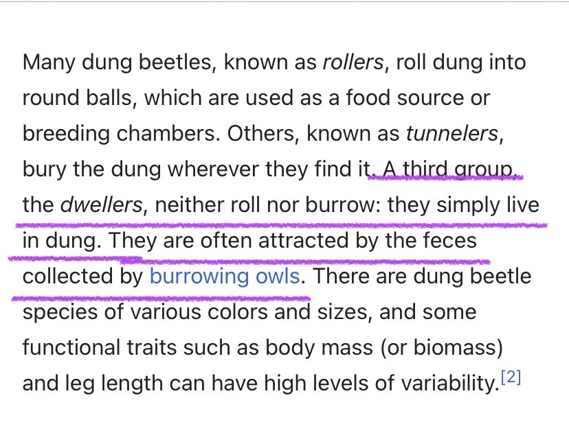 Some Dung Beetles/Scarabs live on the feces of Owls. A group of Owls is ...