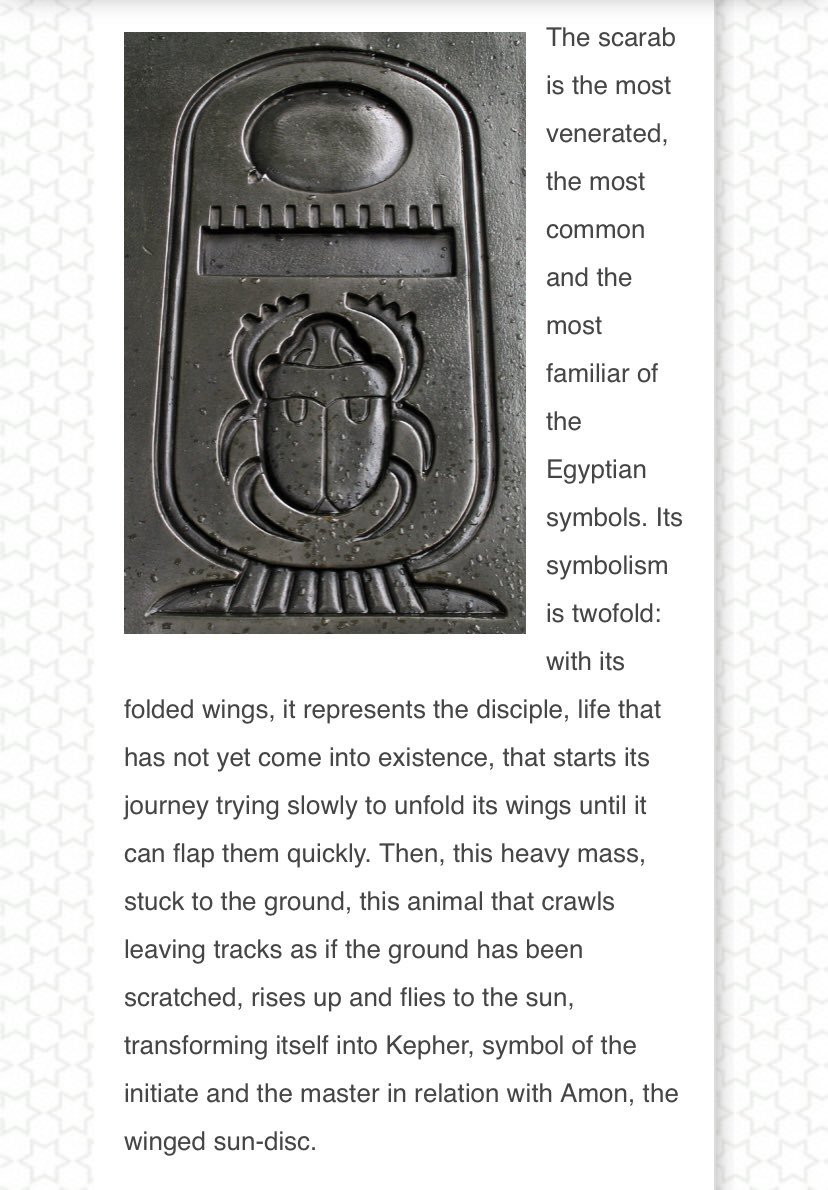 Some Dung Beetles/Scarabs live on the feces of Owls. A group of Owls is ...