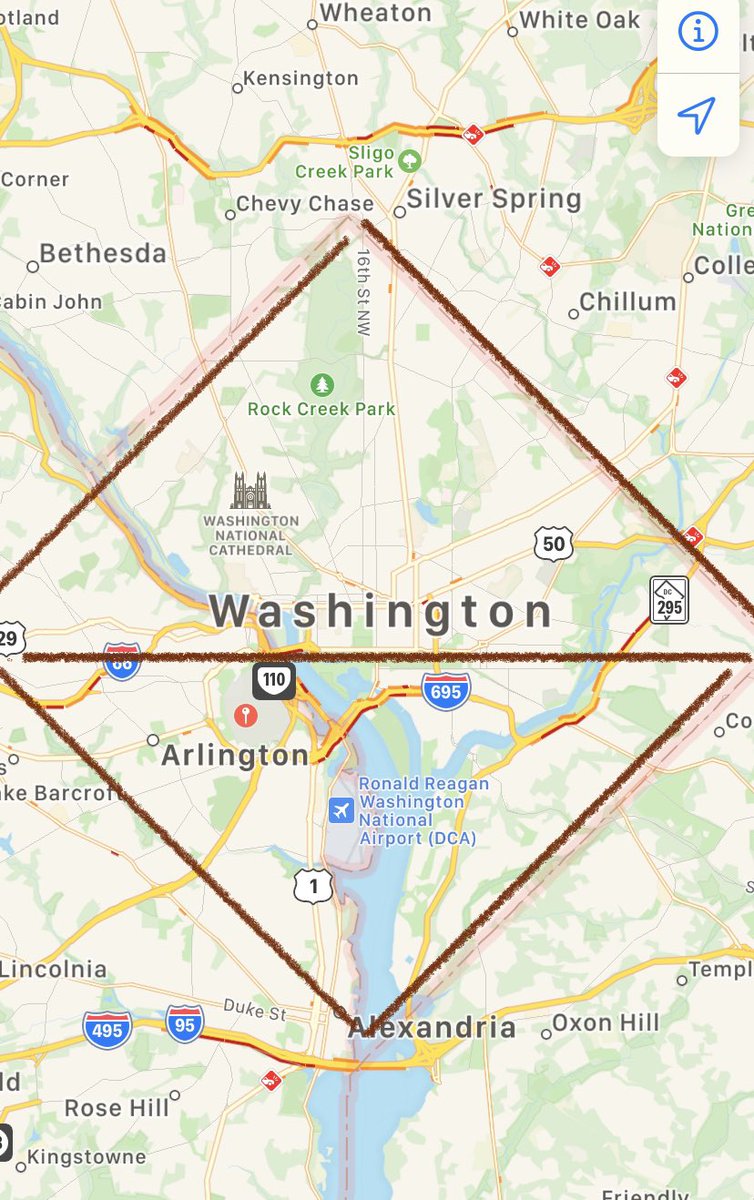 Some Dung Beetles/Scarabs live on the feces of Owls. A group of Owls is ...