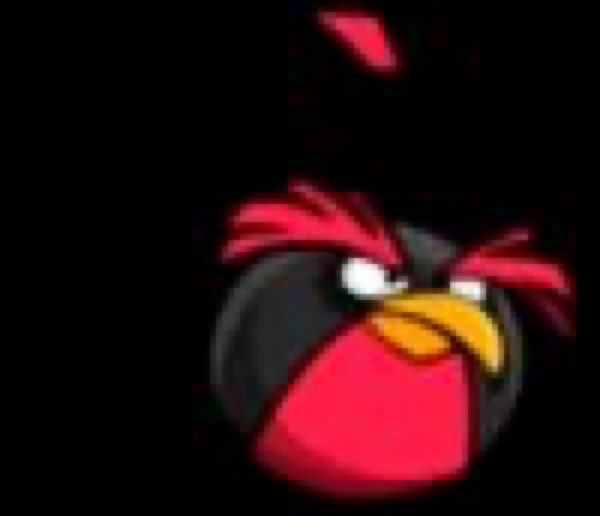 Black Angry Birds Wallpaper