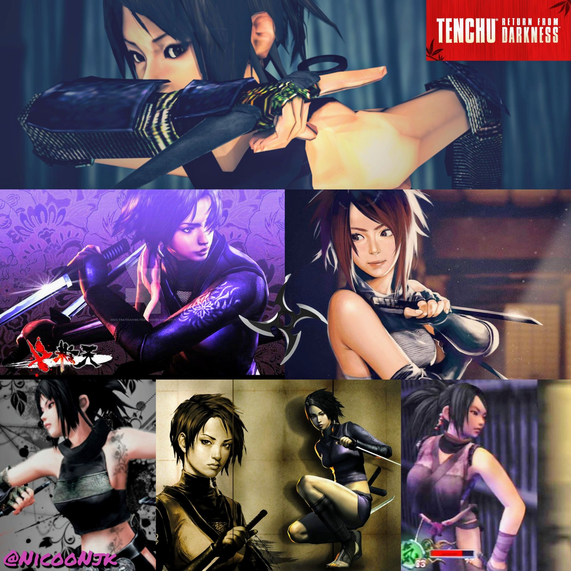 Ayame Tenchu Wallpaper