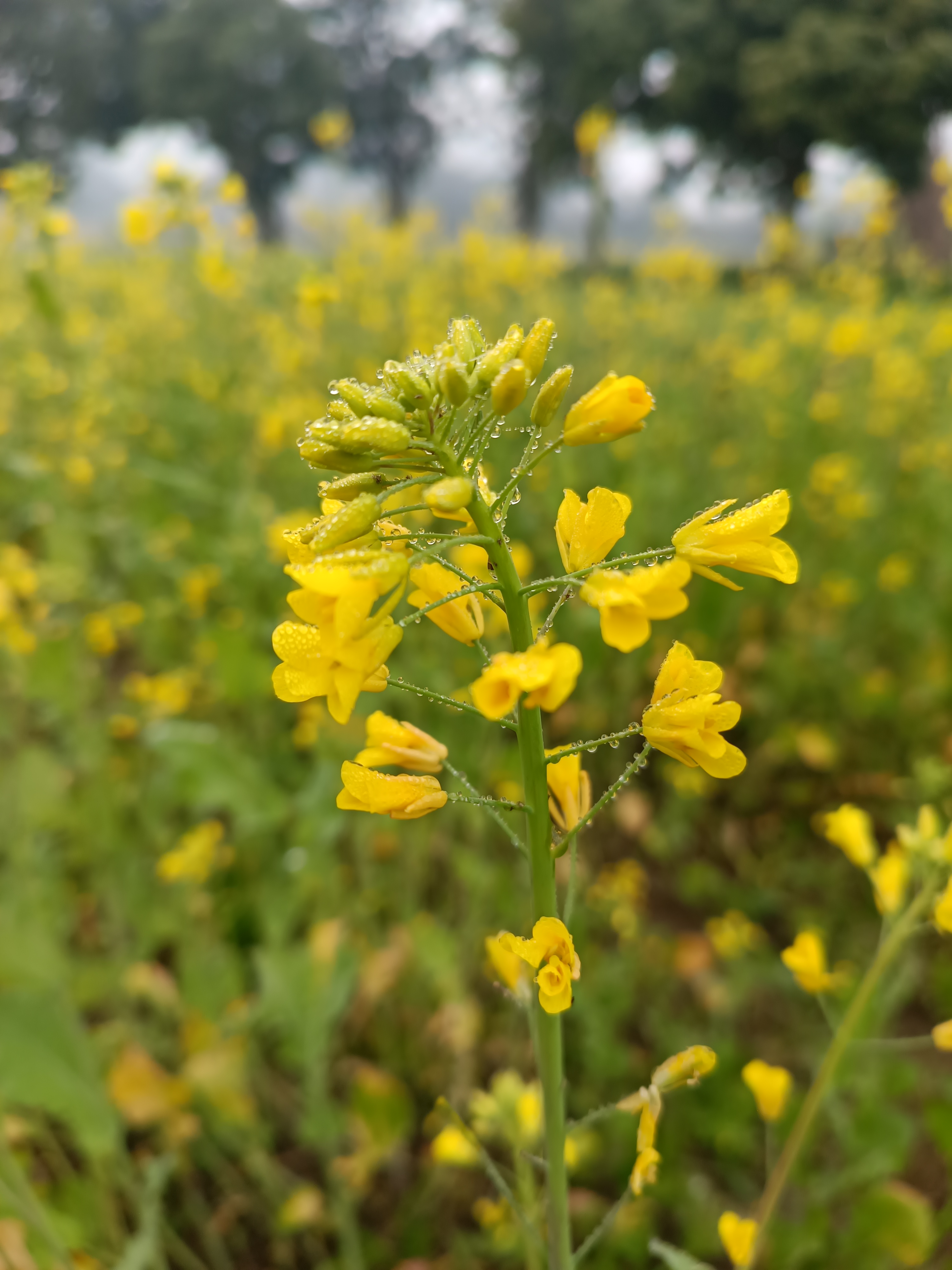 Harsh Anand (@harxh99) / Twitter