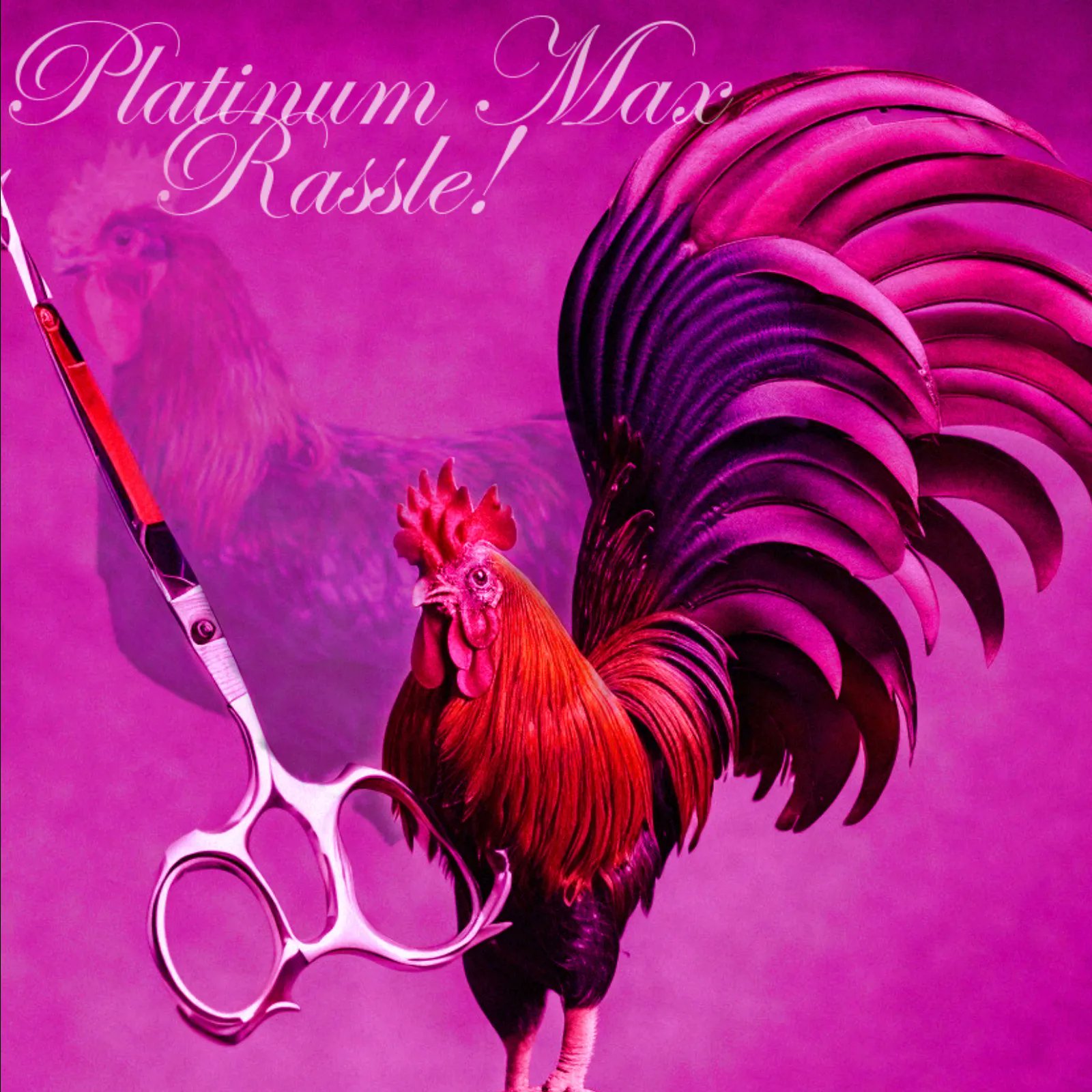 ''Platinum'' Max Caster on Twitter: ""RASSLE" by Platinum Max. Available on all streaming ...