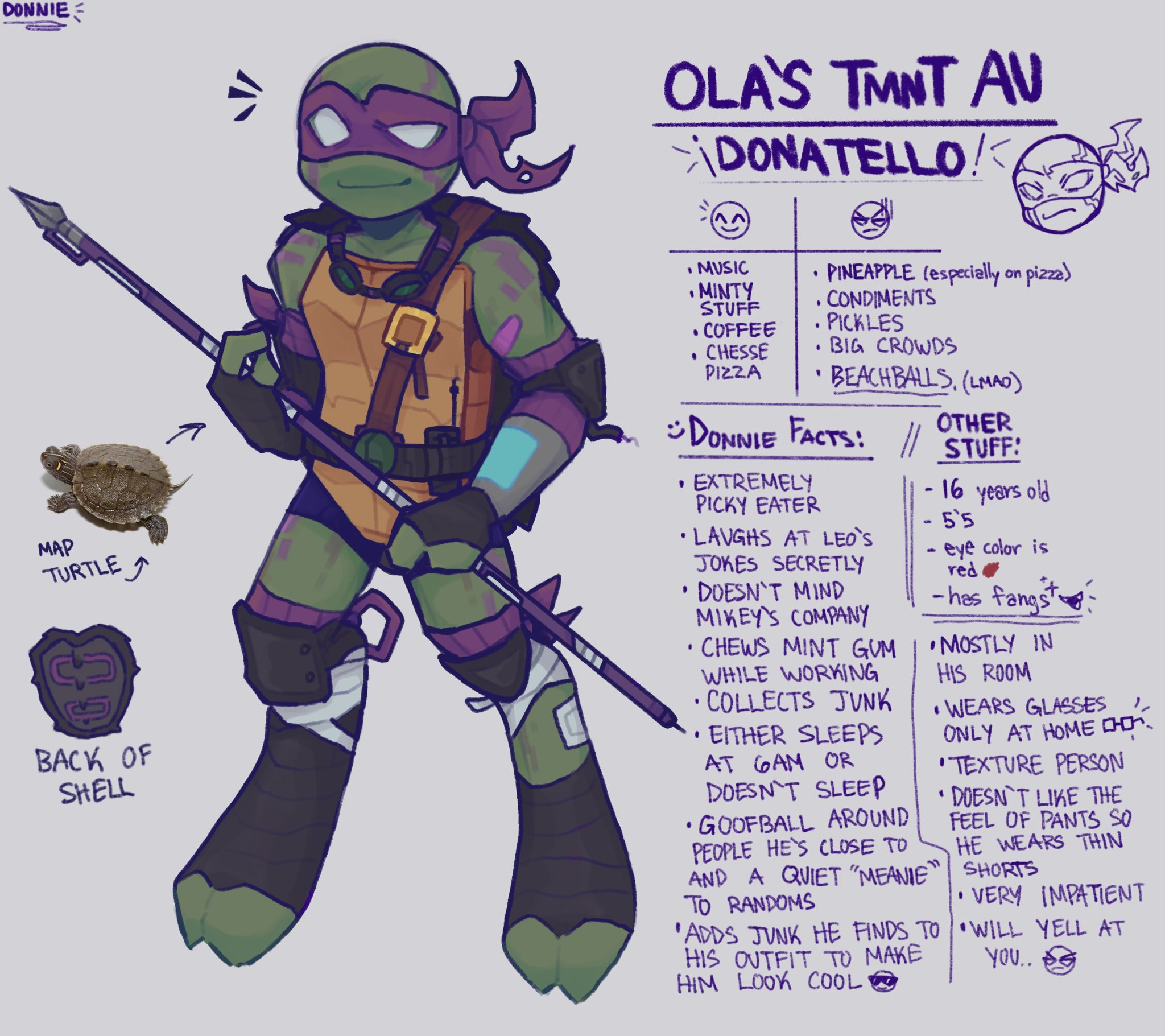 Ninja Turtles 2022 Design