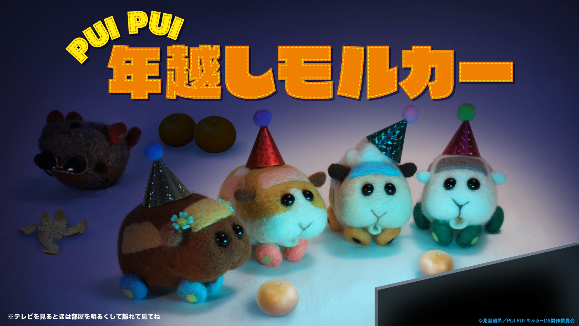 PUI PUI モルカー【公式】 on Twitter: "そして… 🌟―― PUI PUI #年越しモルカー ――🌟 『PUI PUI モルカー DRIVING SCHOOL』 年末年始4 ...