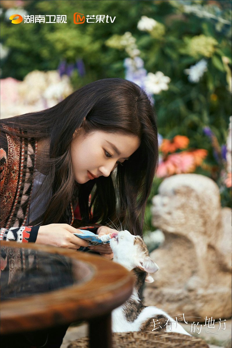 cdrama tweets on Twitter: "Modern romance drama #去有风的地方, starring Liu Yifei, Li Xian, Hu ...