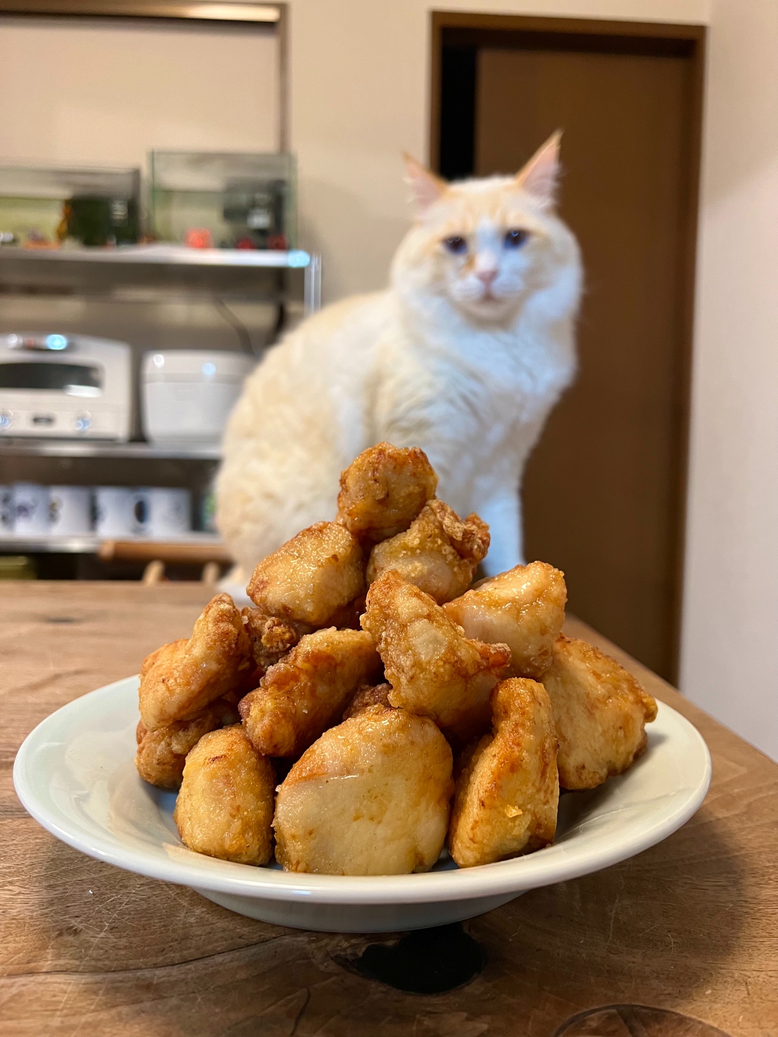 なみそ🎄GRANUP×NEKO KEN on Twitter: "至福 https://t.co/ranKItNIc6" / Twitter