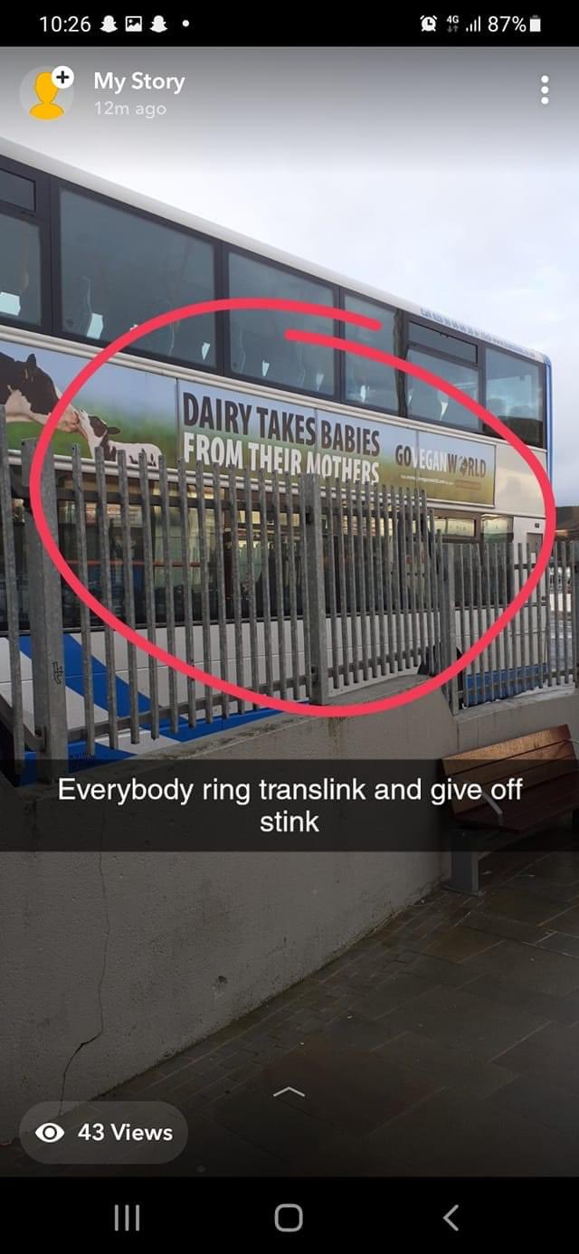 Patsy McGlone on Twitter: "This pic, apparently of a @Translink_NI bus, is doing the rounds ...