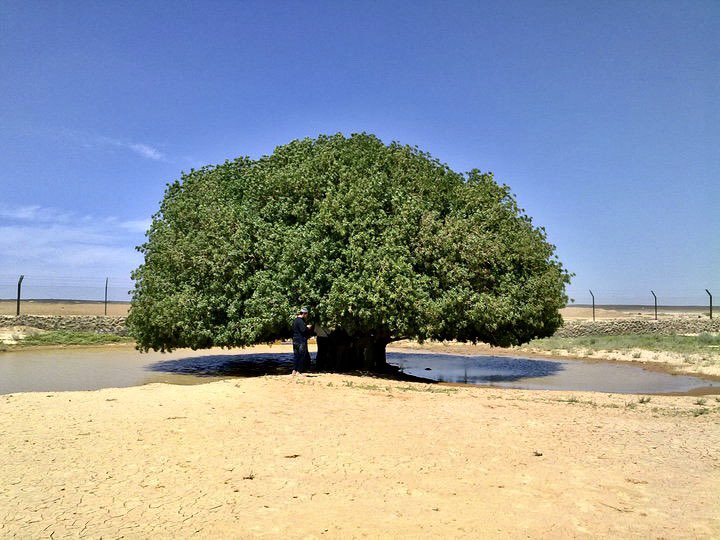 Over 1400 years ago Prophet Muhammad ﷺ and a Christian Monk named ...