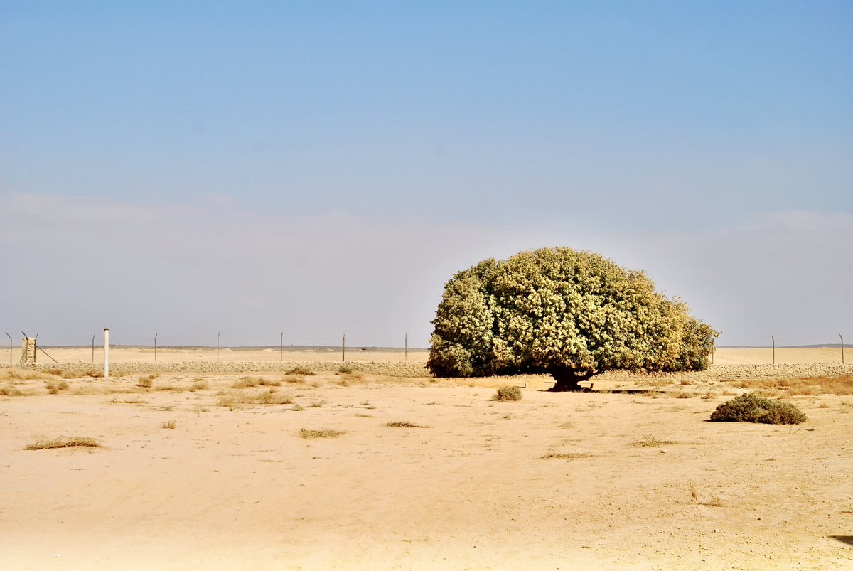 Over 1400 years ago Prophet Muhammad ﷺ and a Christian Monk named ...