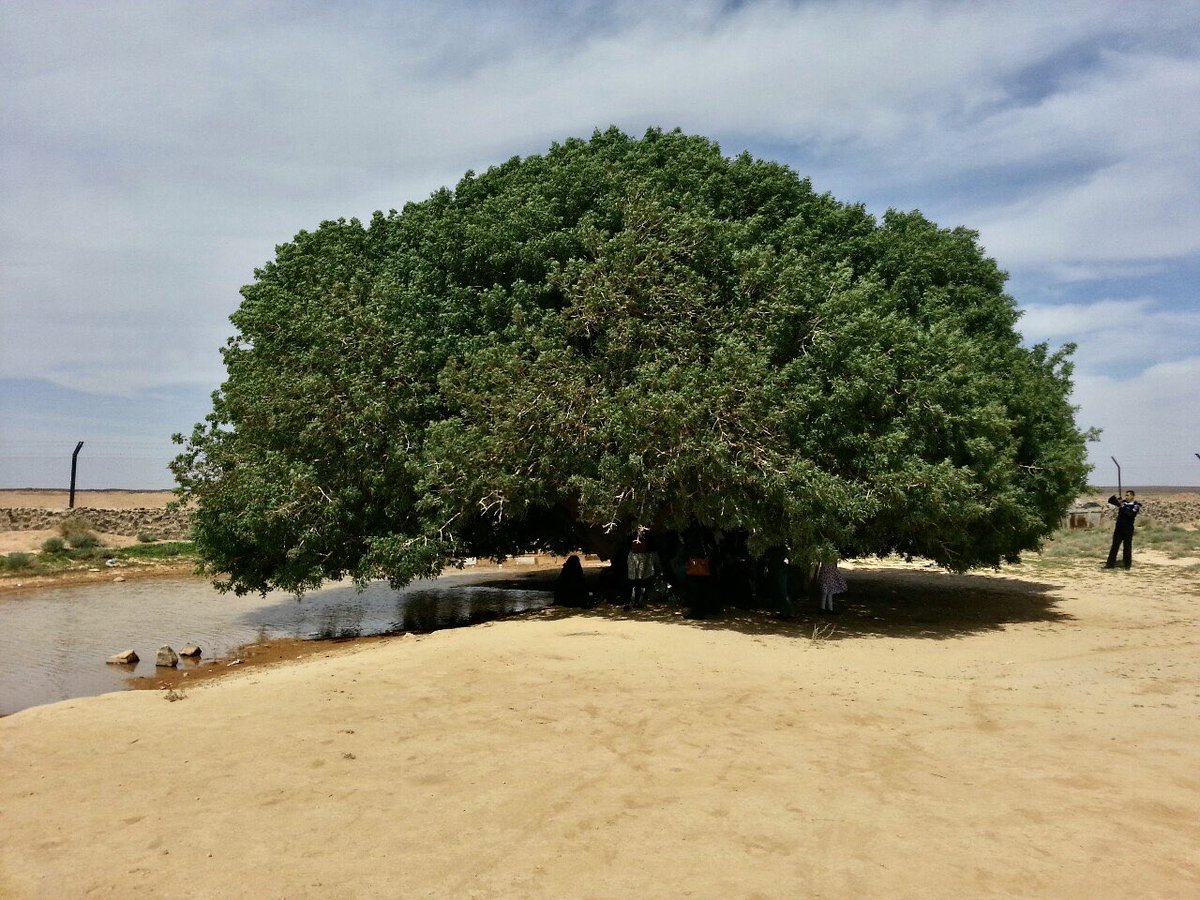 Over 1400 years ago Prophet Muhammad ﷺ and a Christian Monk named ...