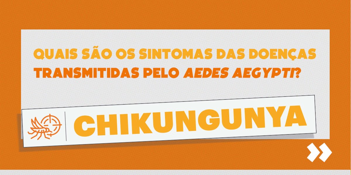 Ministério Da Saúde On Twitter Todo Dia é Dia De Combater O Mosquito