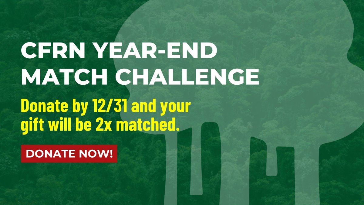 CfRN COP27 2022 - Coalition for Rainforest Nations