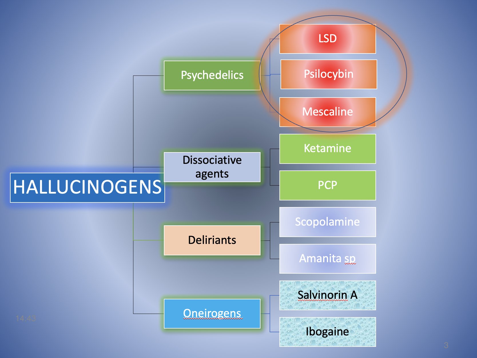 Types Of Hallucinogens