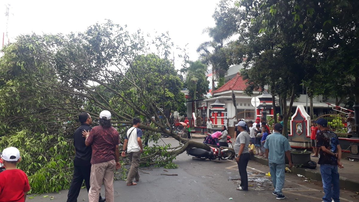 Bpbd Kota Malang On Twitter Info Pohontumbang Di Depan Pendopo