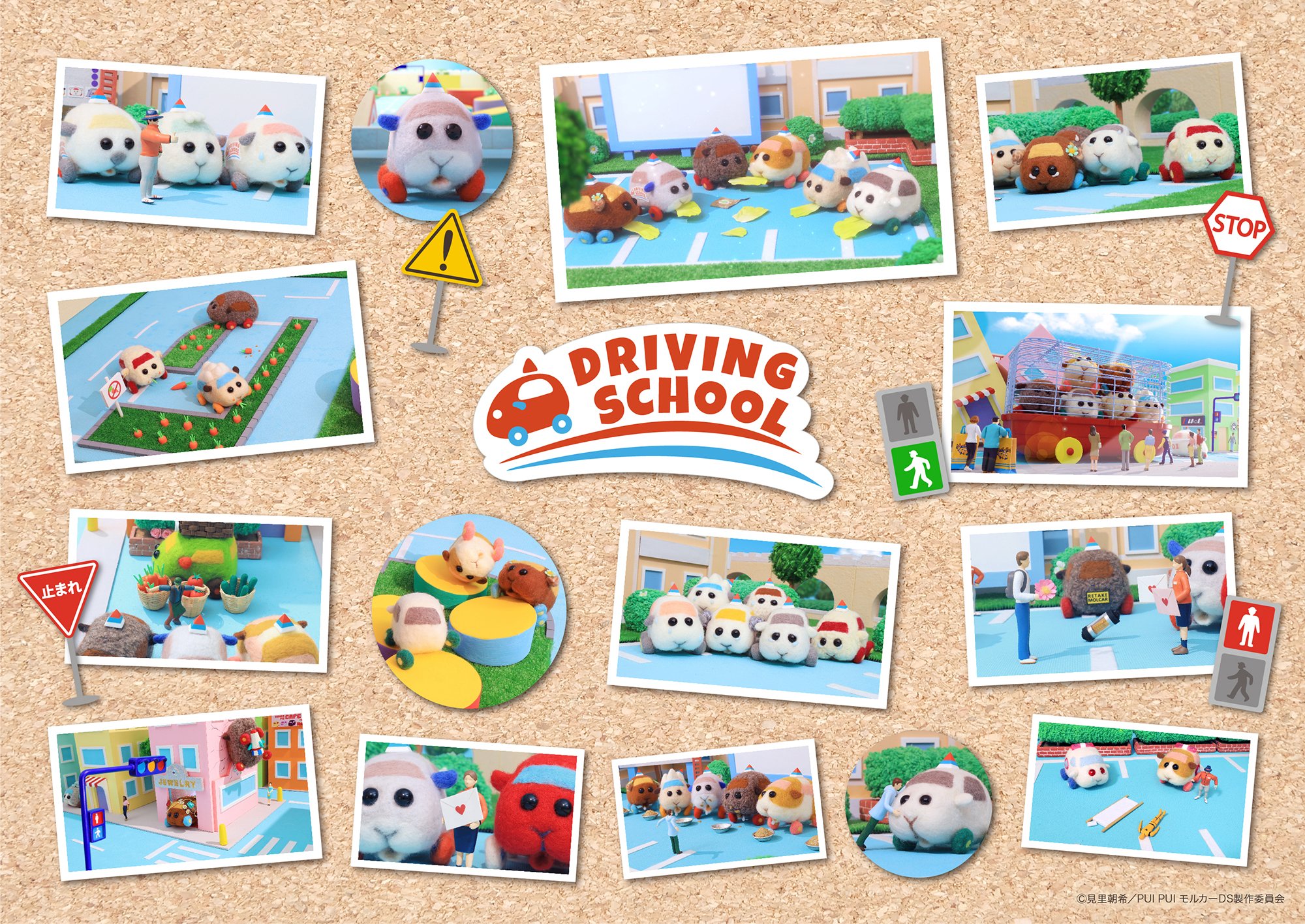 PUI PUI モルカー【公式】 on Twitter: "『PUI PUI モルカー DRIVING SCHOOL』 年末年始限定！全話一挙配信中🥕🚗💨 ドライビングスクールで過ごした沢山の ...