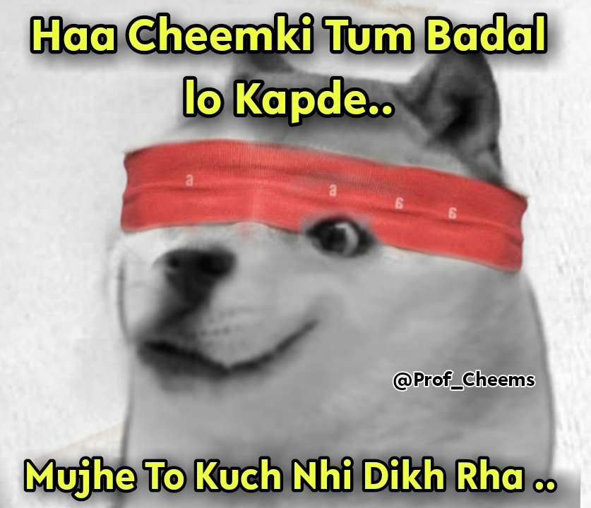 Prof Cheems ॐ On Twitter Rt Profcheems 👀🙈