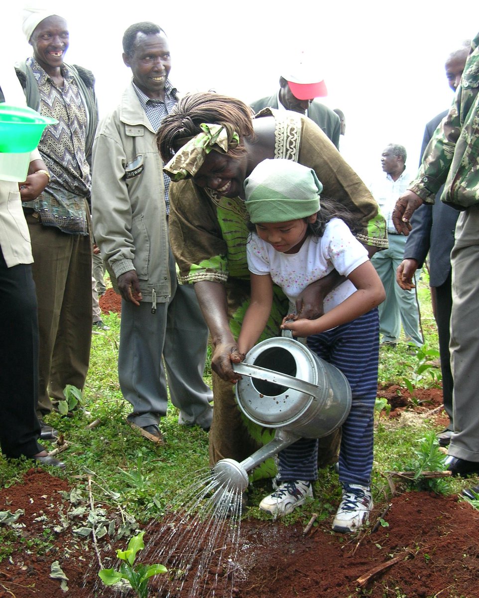 The Nobel Prize on Twitter: "In 1977 peace laureate Wangari Maathai ...