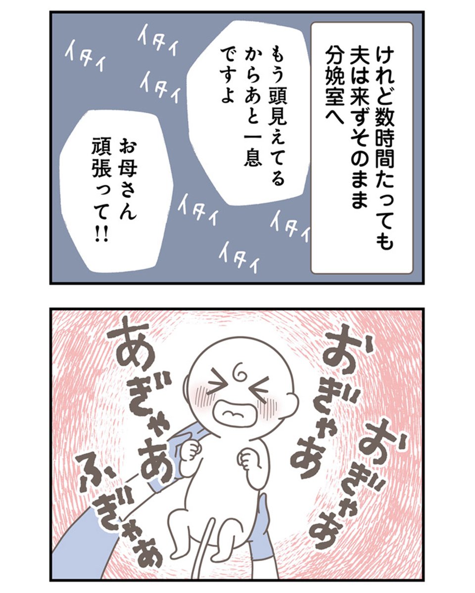 シャンプー@飼い主(3cha) on Twitter: "(7/11) https://t.co/xZccRUwIa4" / Twitter